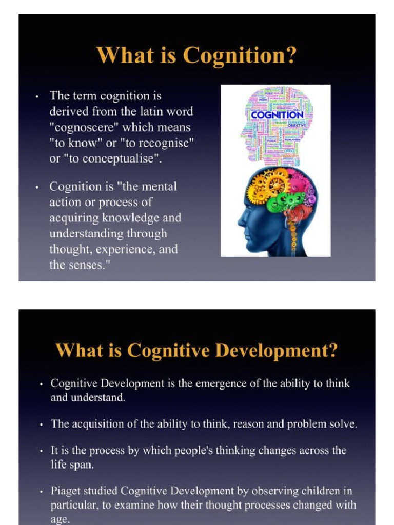 Piagets Cognitive Development | PDF