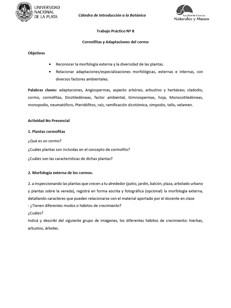 Cormófitas: Morfología y Adaptaciones | PDF | Tallo de la planta | Hoja
