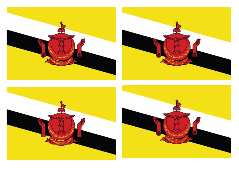Brunei Flag | PDF