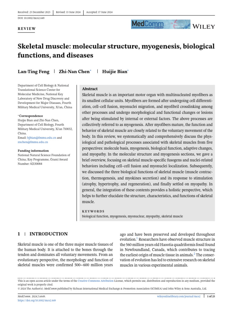 Skeletal Muscle Molecular Structure Myogenesis Bio | PDF | Gene ...