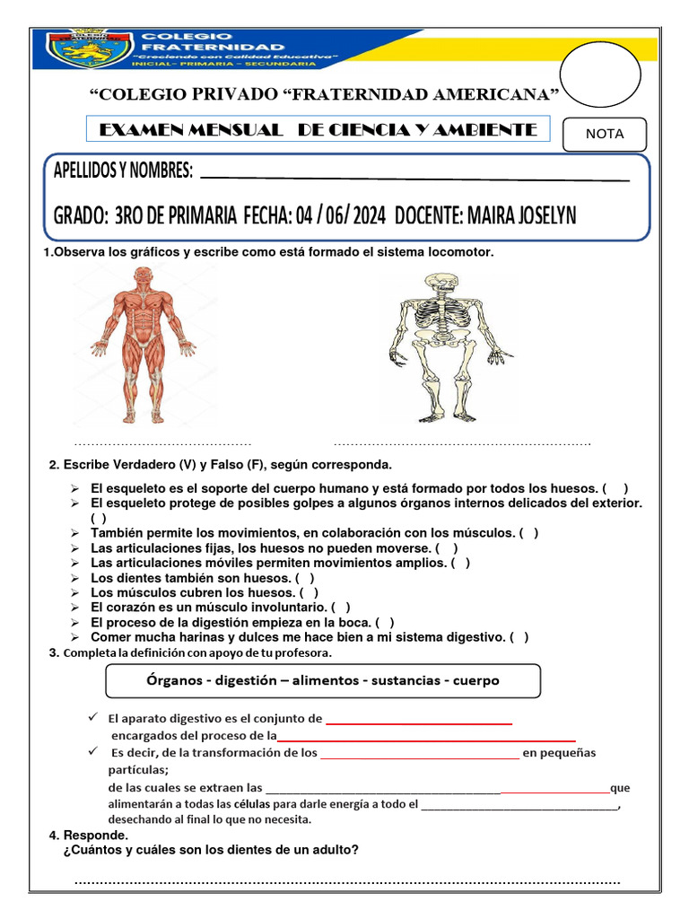 Examen de Ciencia y Ambiente 3ro Prim Iib. | PDF | Esqueleto | Digestión