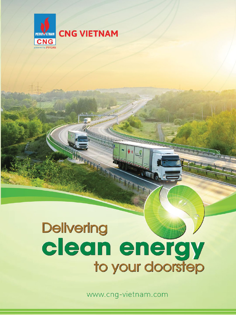 20210304_CNG_PROFILE _EN_view | PDF | Natural Gas | Liquefied Natural Gas