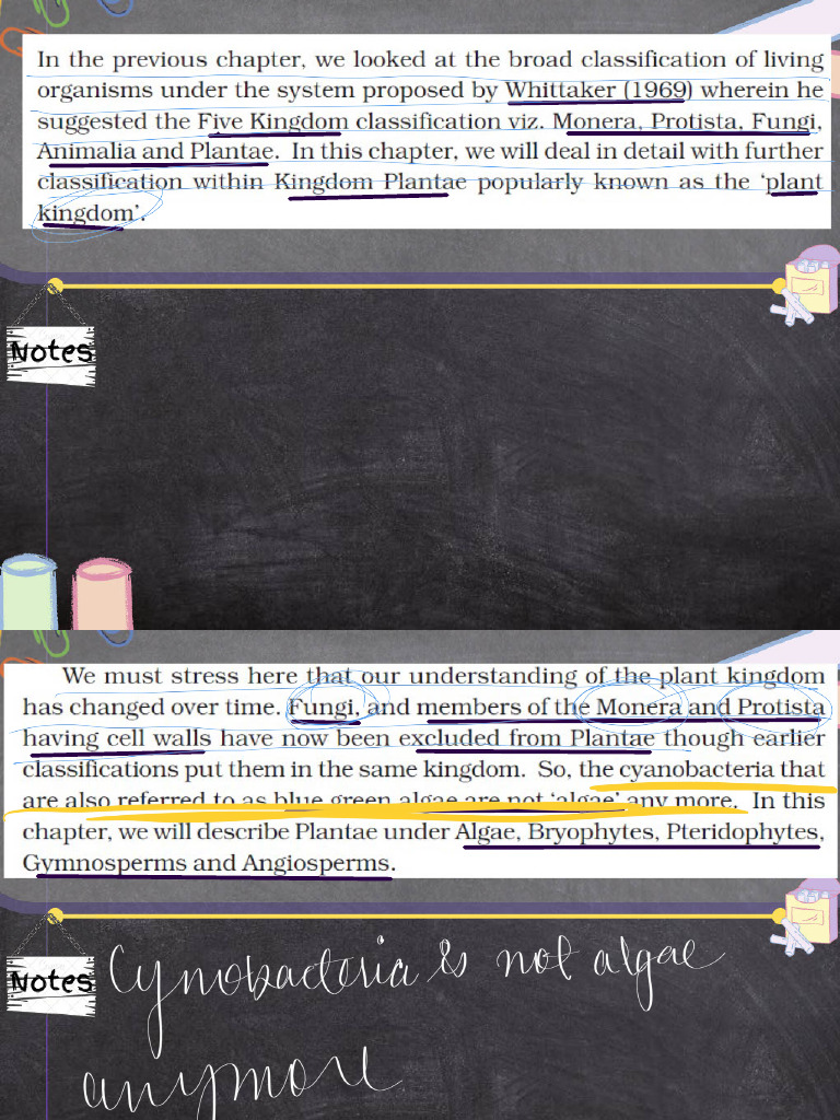 Plant Kingdom Notes + NCERT | PDF | Spore | Sexual Reproduction