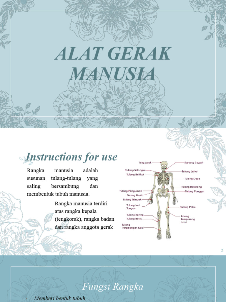IPA - Organ Gerak Manusia | PDF | Color | Blue