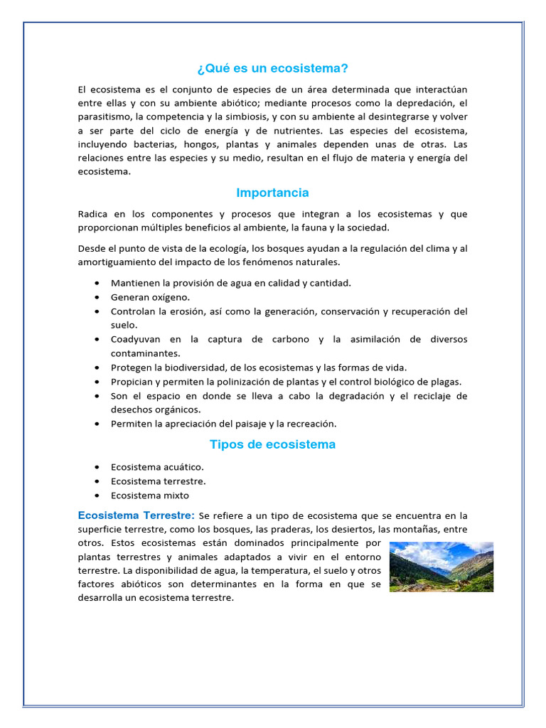 Qué Es Un Ecosistema | PDF | Ecosistema | Suelo