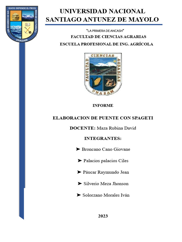 Informe - Estatica Final | PDF | Puente | Braguero