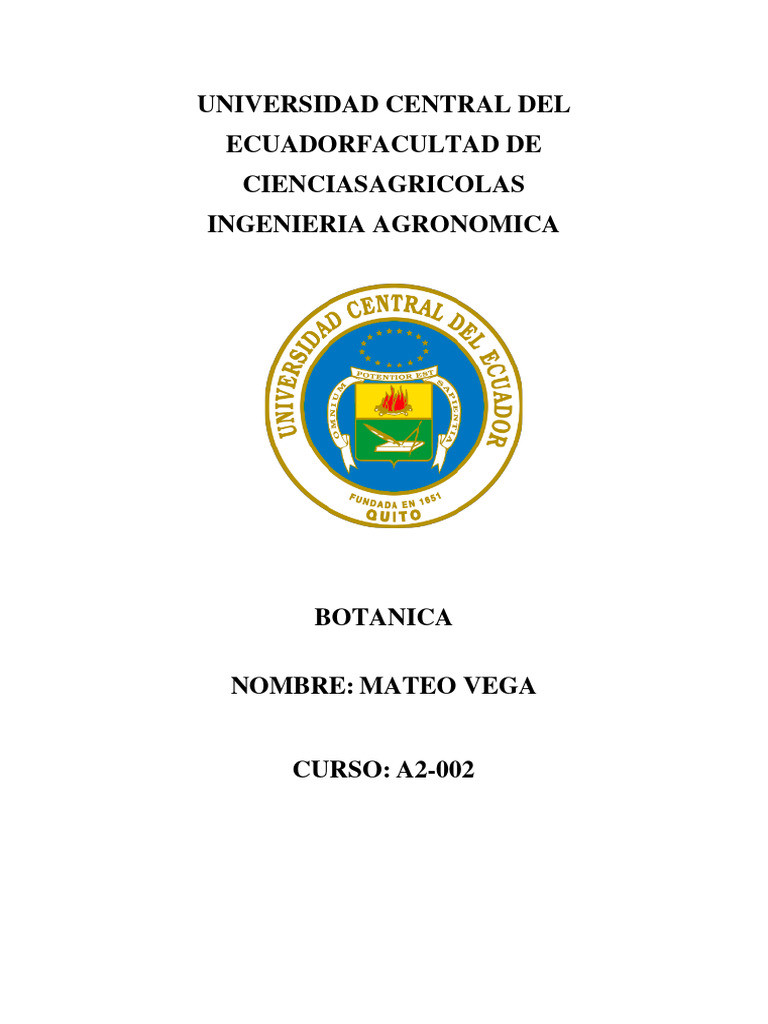 Inflorescencia - Mateo Vega | PDF | Flores | Botánica