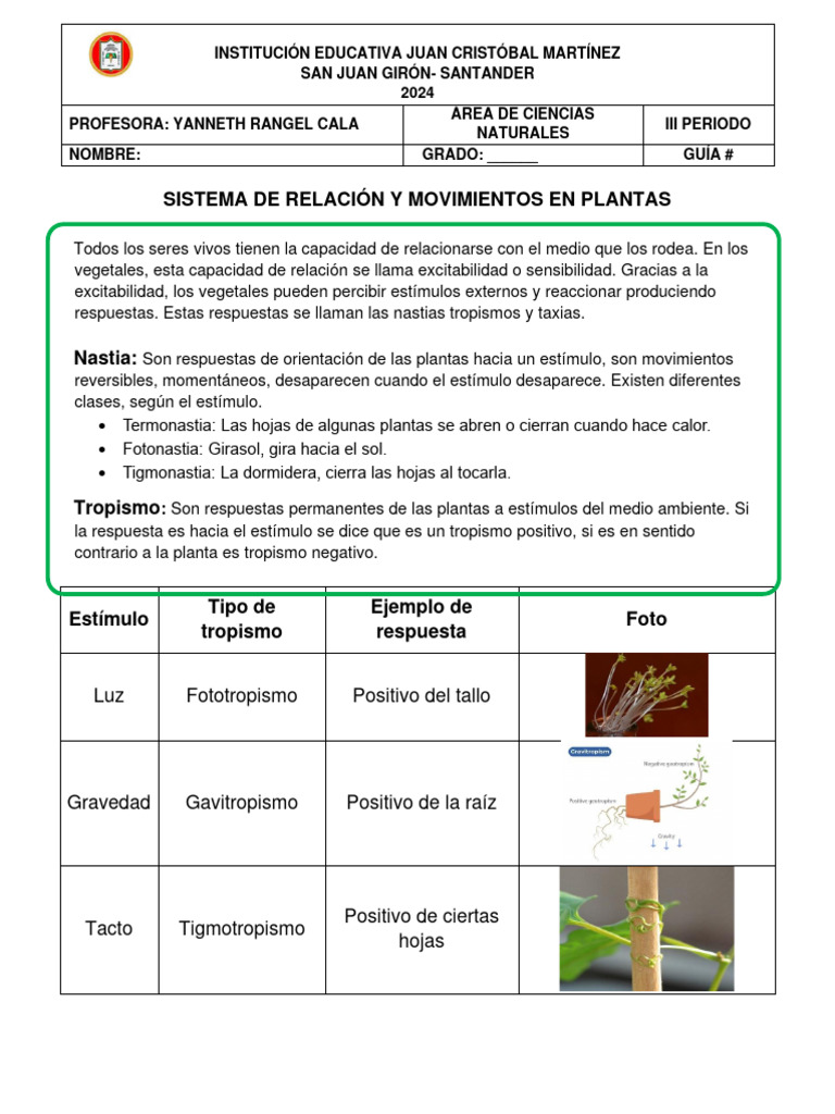 Guia 8° - Tropismos y Nastias CORREGIDA | PDF | Plantas | Botánica