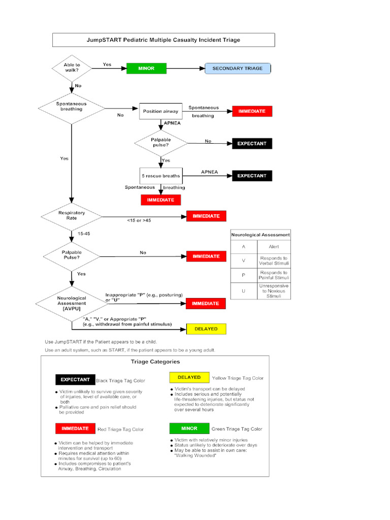 Jumpstart Triage | PDF