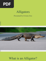 Average Weight of American Alligators | PDF | Pound (Mass) | Crocodile