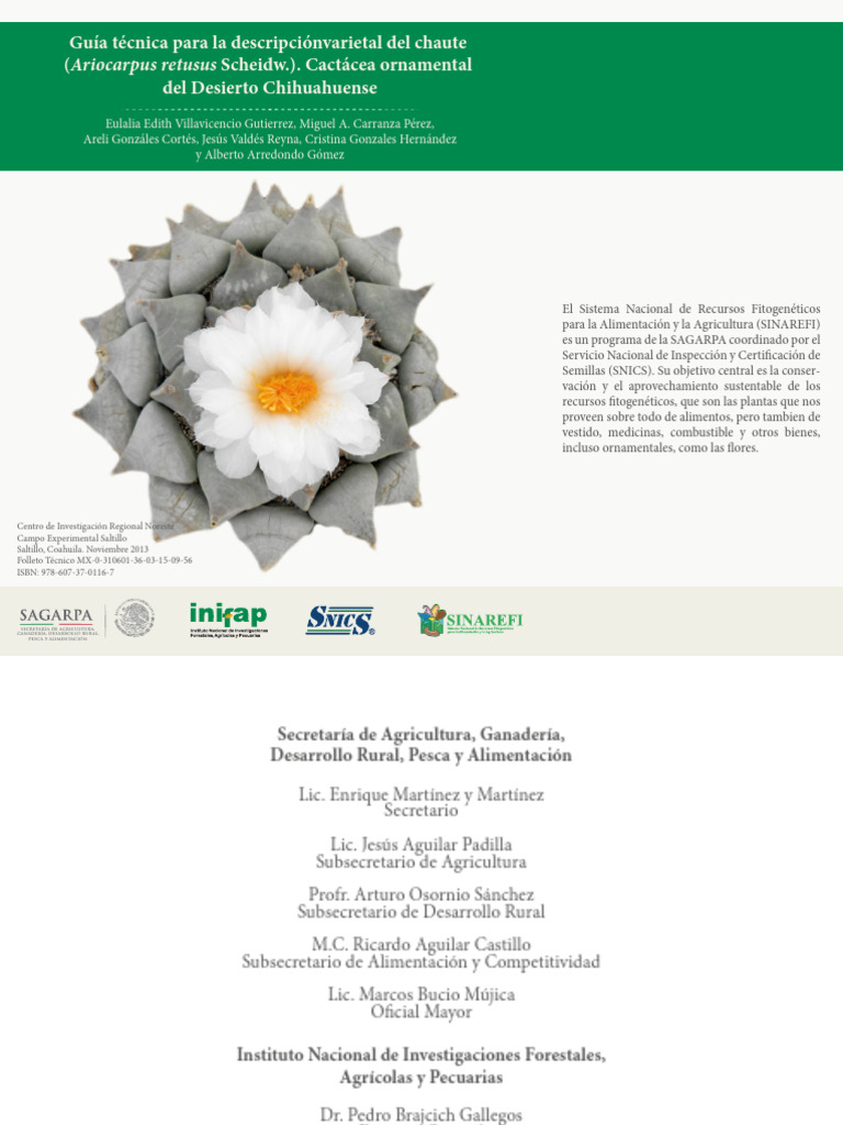 Guia Tecnica para La Descripcion Varietal Del Chaute Ariocarpus Retusus ...