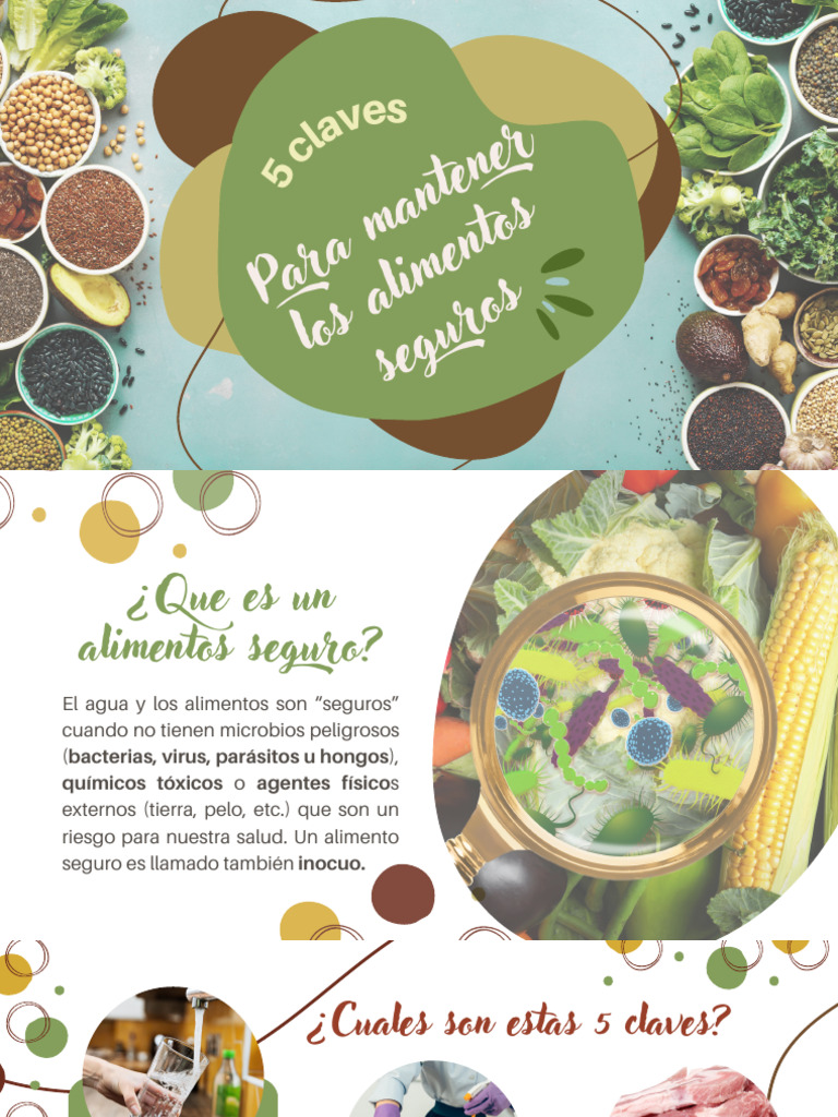 5 Claves para Alimentos Seguros | PDF | Alimentos | Agua
