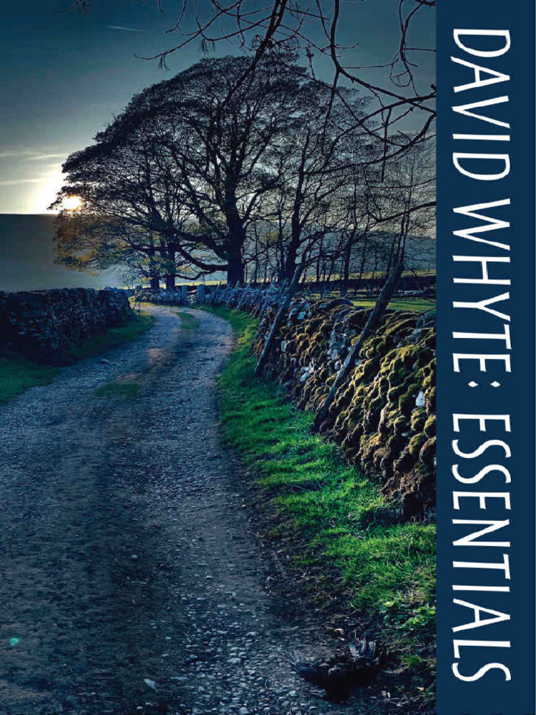 David Whyte Essentials (David Whyte) (Z-Library) | PDF | Sleep | Faith