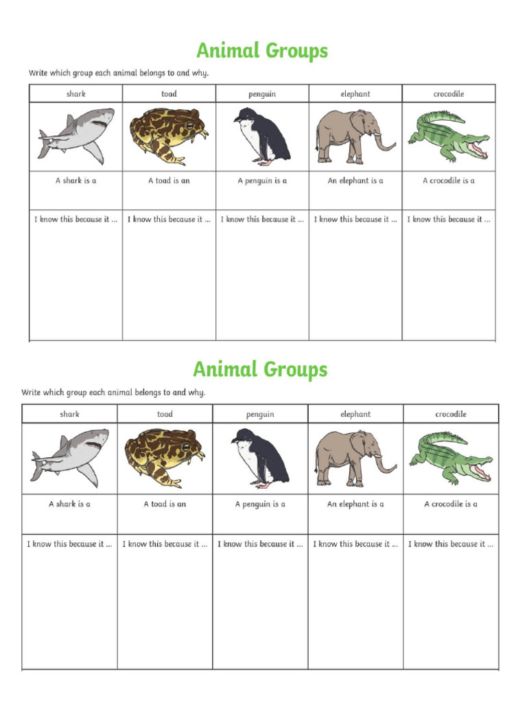 Classification of Animals Assessment | PDF