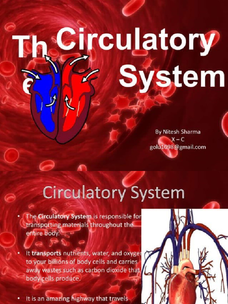CIRCULATORY SYSTEM -GENERAL | PDF