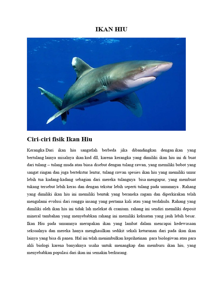 Ikan Hiu | PDF