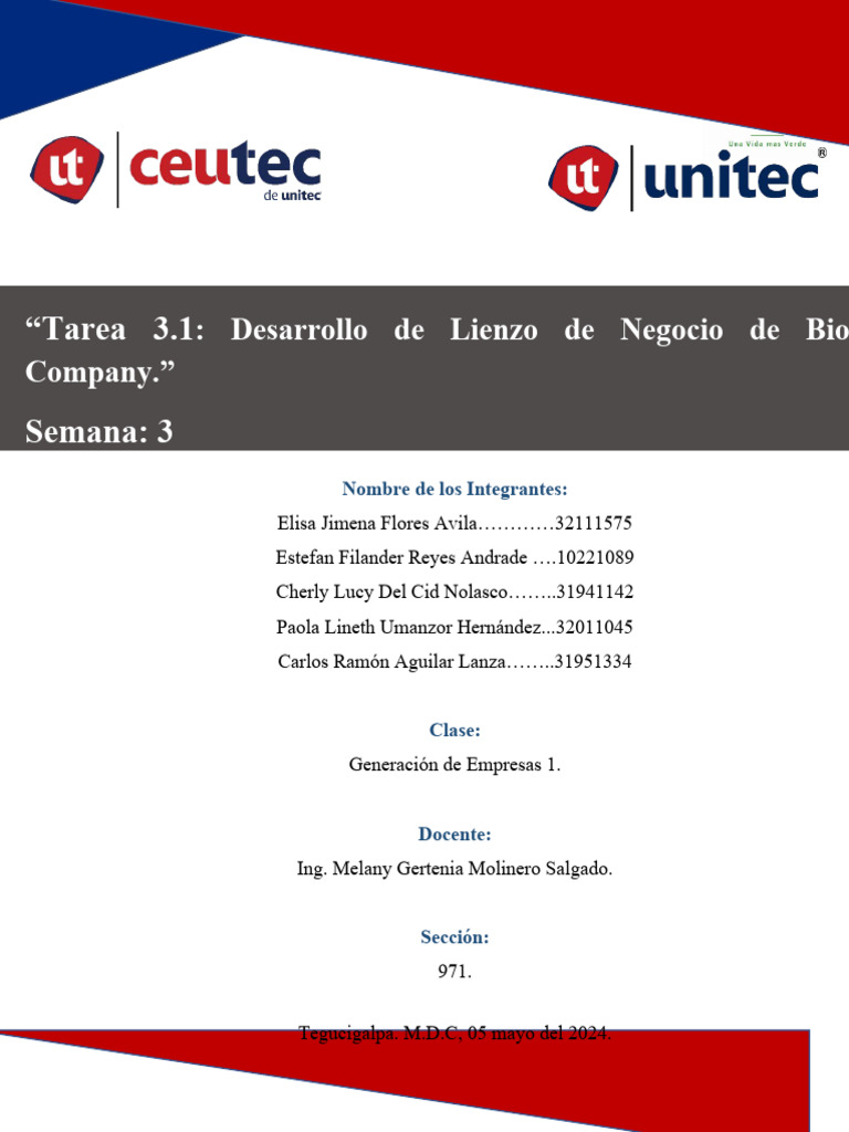 Tarea 3.1 Grupo 7 Lienzo de Modelo de Negocio Bio Company | PDF | Biomasa | Supermercado