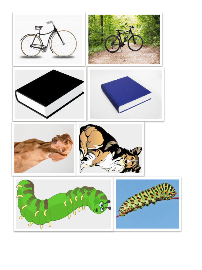 Non-Identical Matching Items | PDF