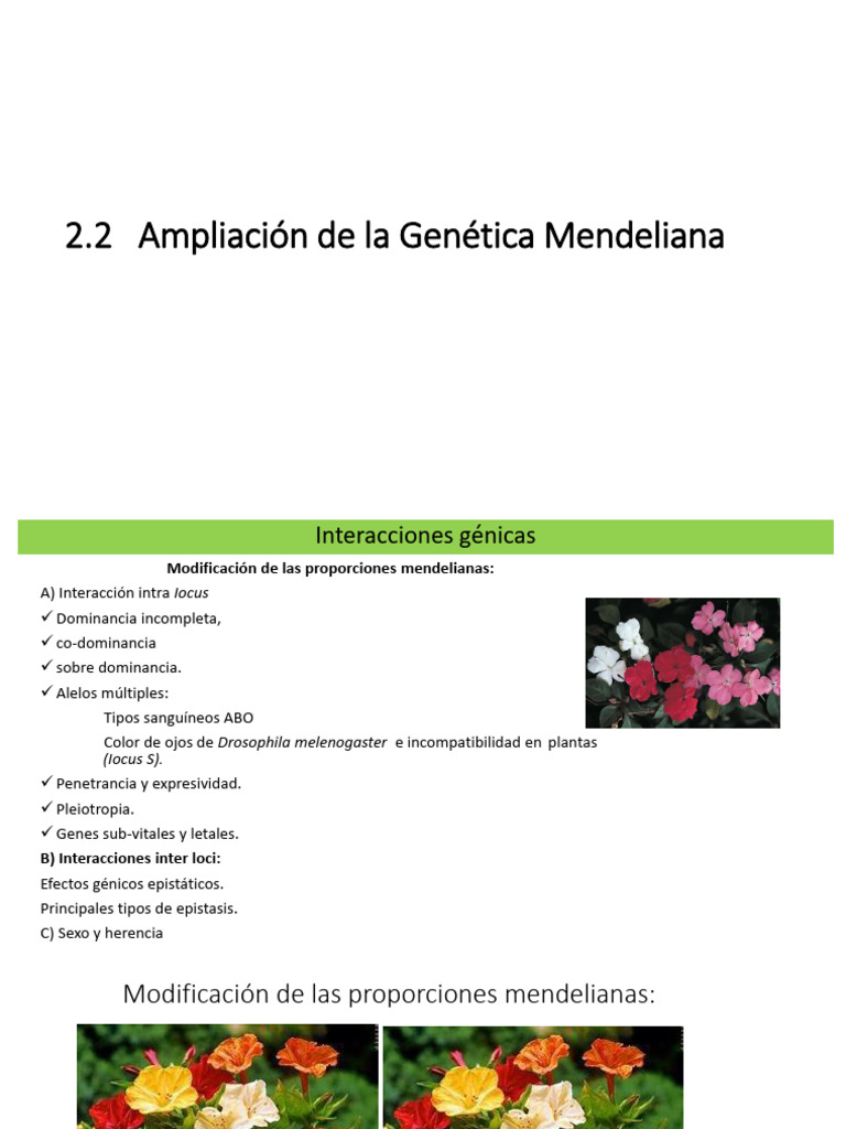 Interacciones en Genética Mendeliana | PDF | Epistasis | Dominancia ...