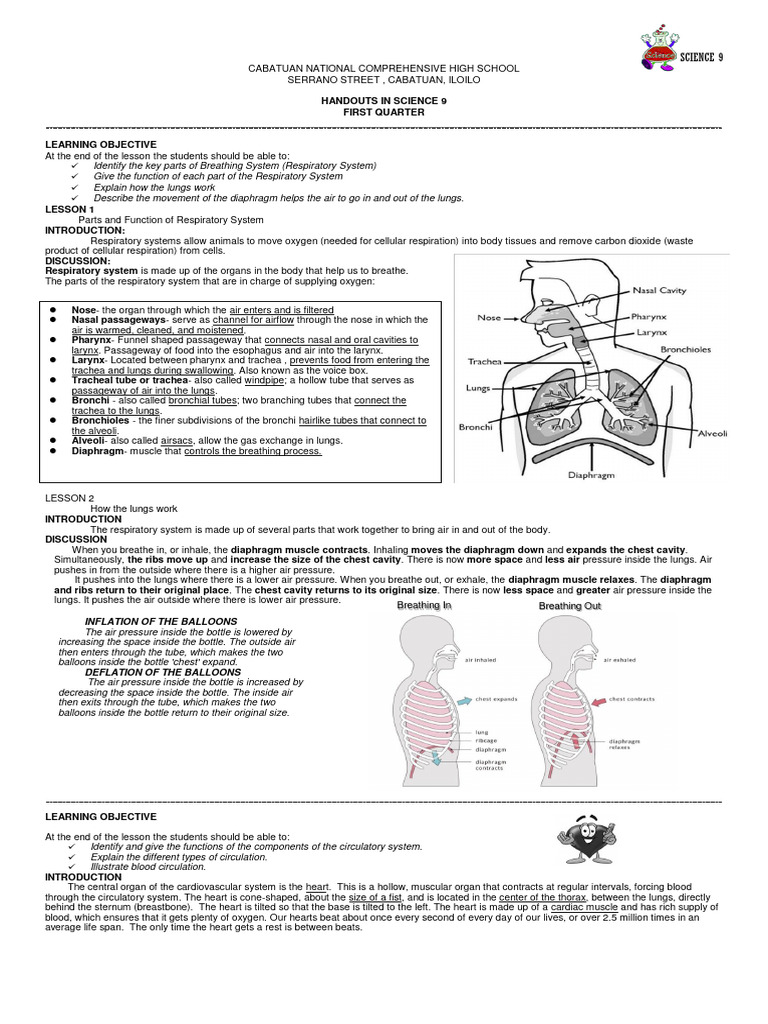 Handouts For Week 1-2 | PDF | Heart | Respiratory Tract