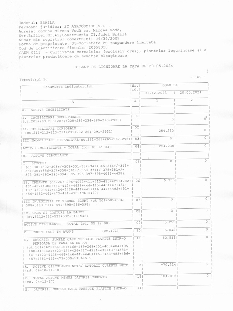 Bilant Lichidare - 20.05.2024 | PDF