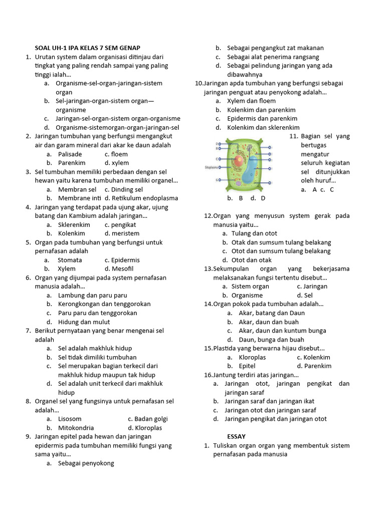 Soal Uh1 Ipa KLS 7 Sem Genap | PDF