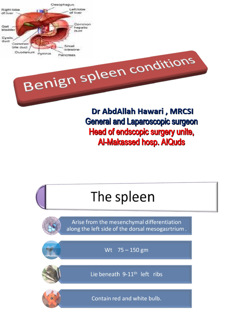 Benign Spleen Conditions | PDF | Spleen | Medical Specialties