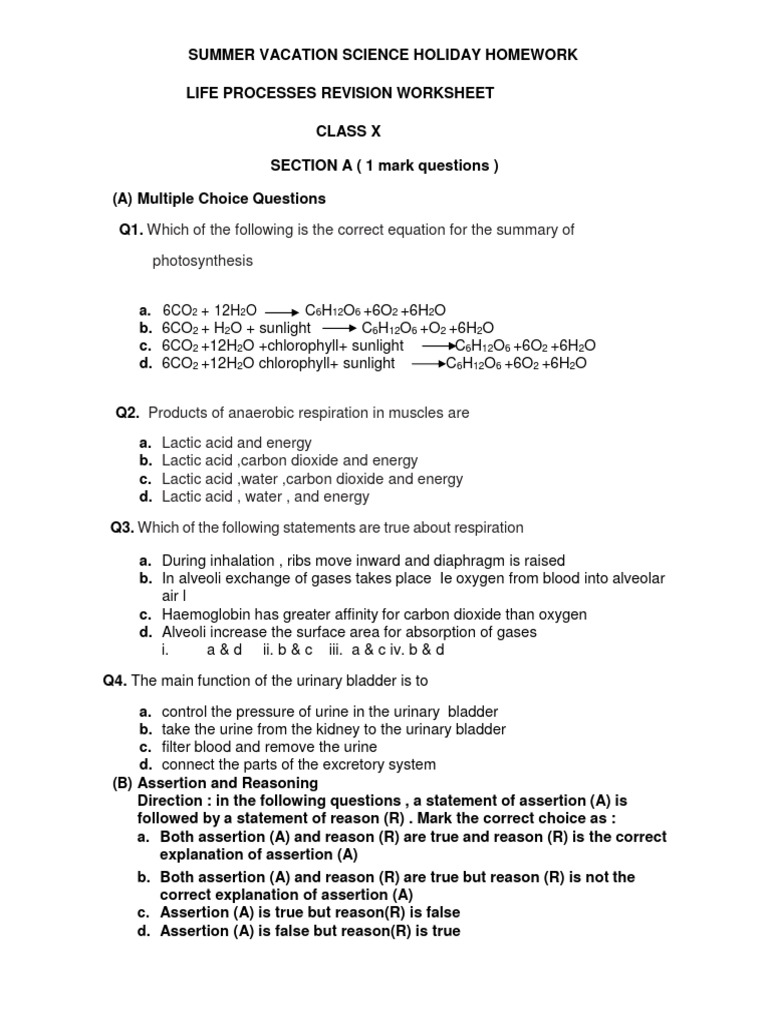 CLASS_10 | PDF | Numbers | Respiratory System