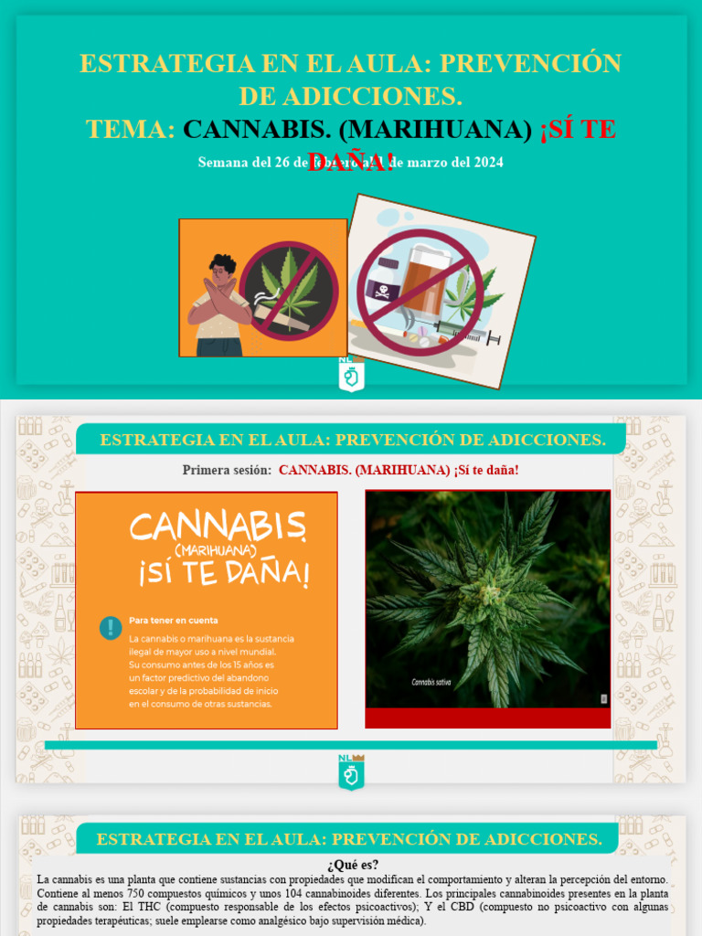 Cannabis | PDF | Cannabis (Droga) | La dependencia de sustancias