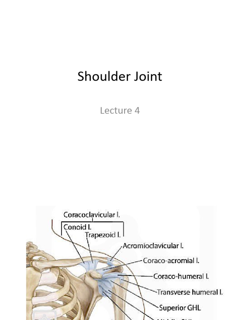 5 Shoulder Joint | PDF