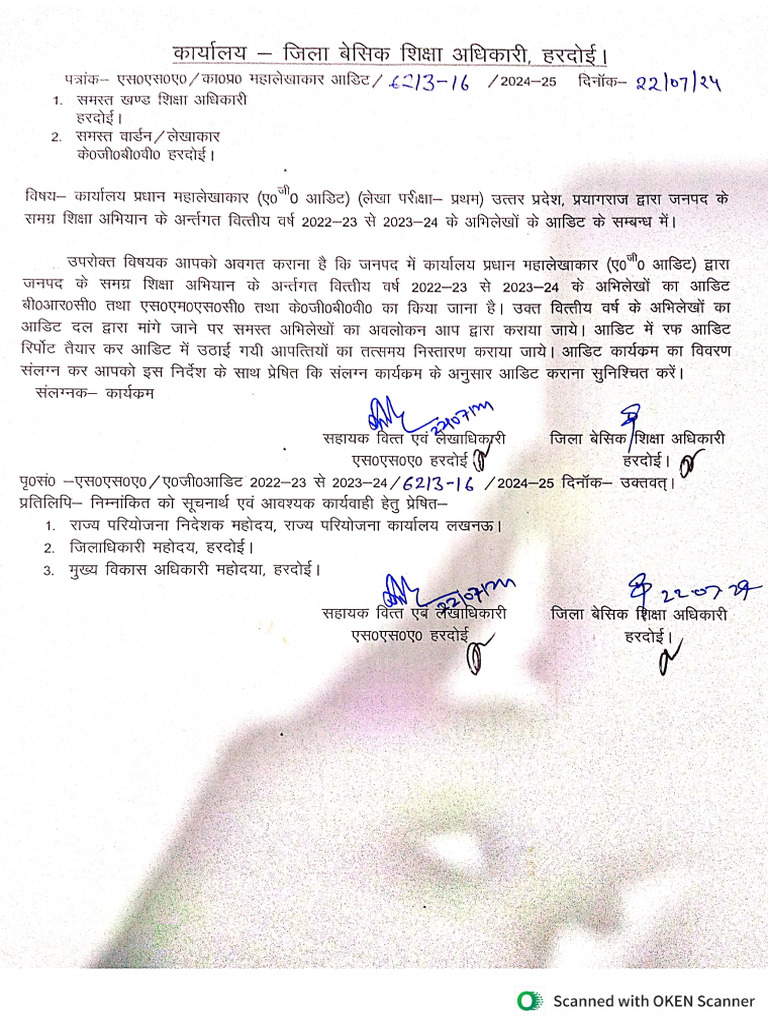 AG Audit | PDF