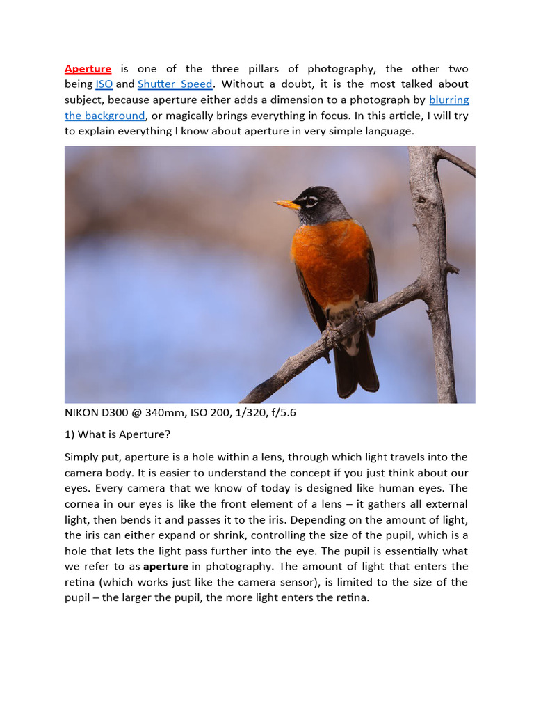 Understanding Camera Aperture Basics | PDF | Aperture | Camera Lens
