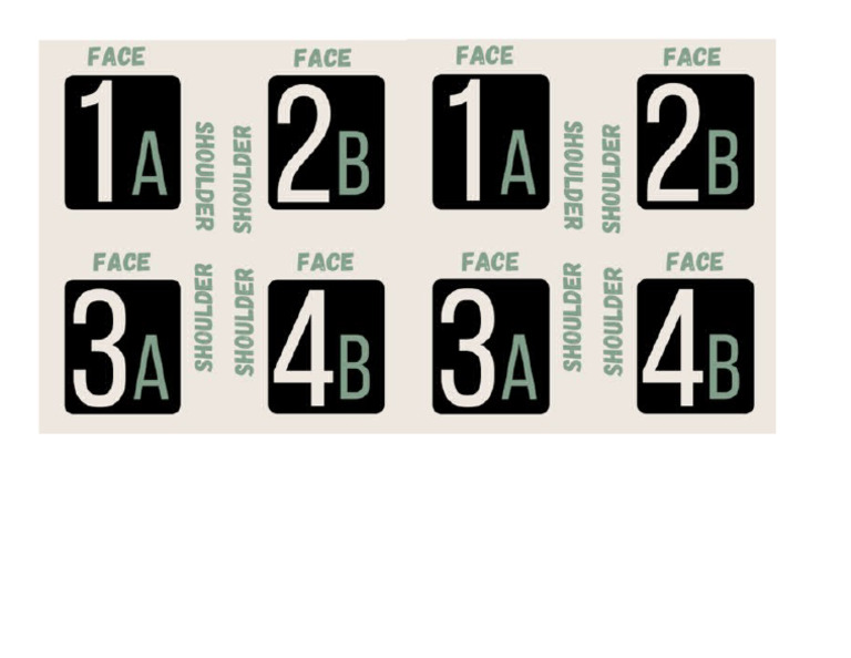 Kagan 1 2 3 4 Label Seat | PDF