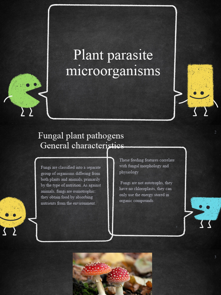 UNIT 2 (A and B) Plant Parasite Microorganisms | PDF | Fungus | Bacteria