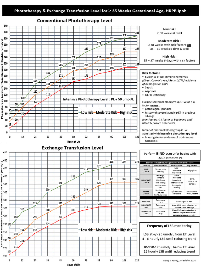 NNJ - Final Term NNJ Chart | PDF | Human Diseases And Disorders ...
