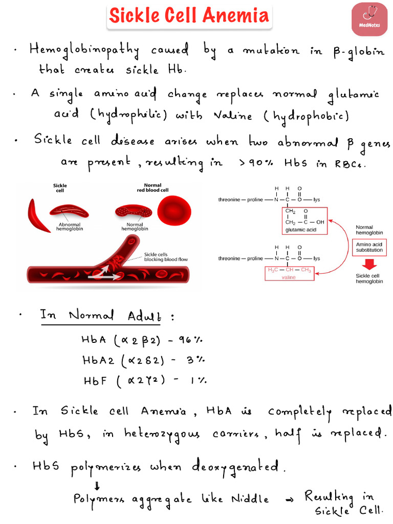 Anemia - 6 (Sickle Cell Anemia) | PDF | Tissue (Biology) | Vertebrates