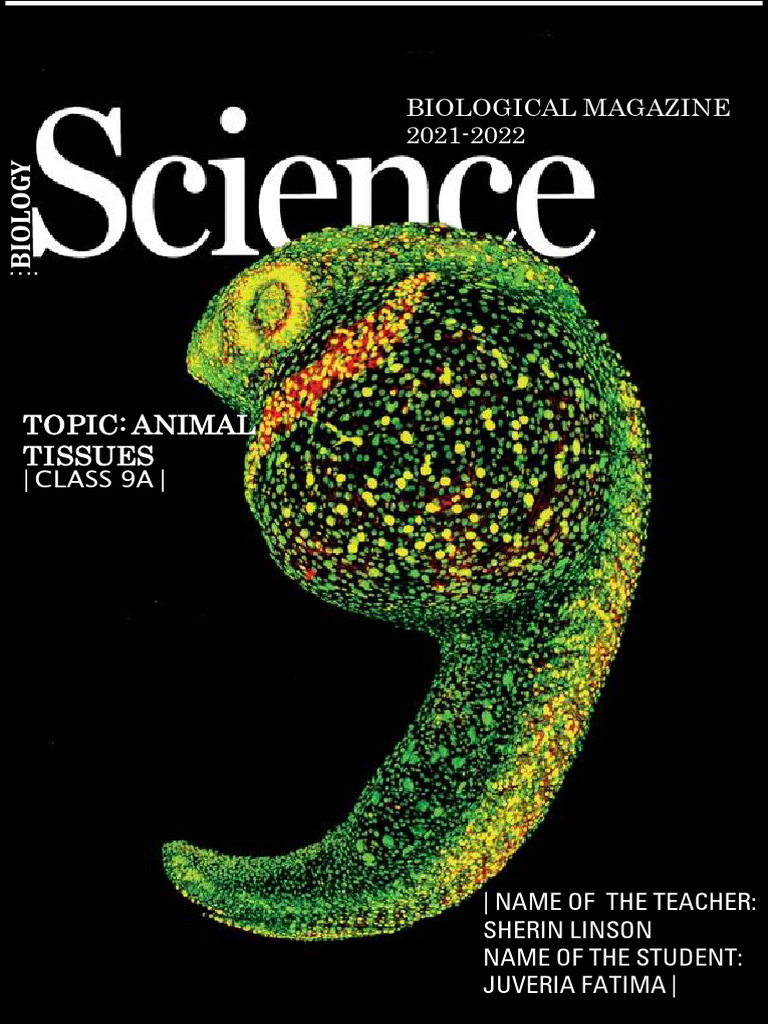 Topic: Animal Tissues: Biological Magazine 2021-2022 | PDF | Epithelium ...