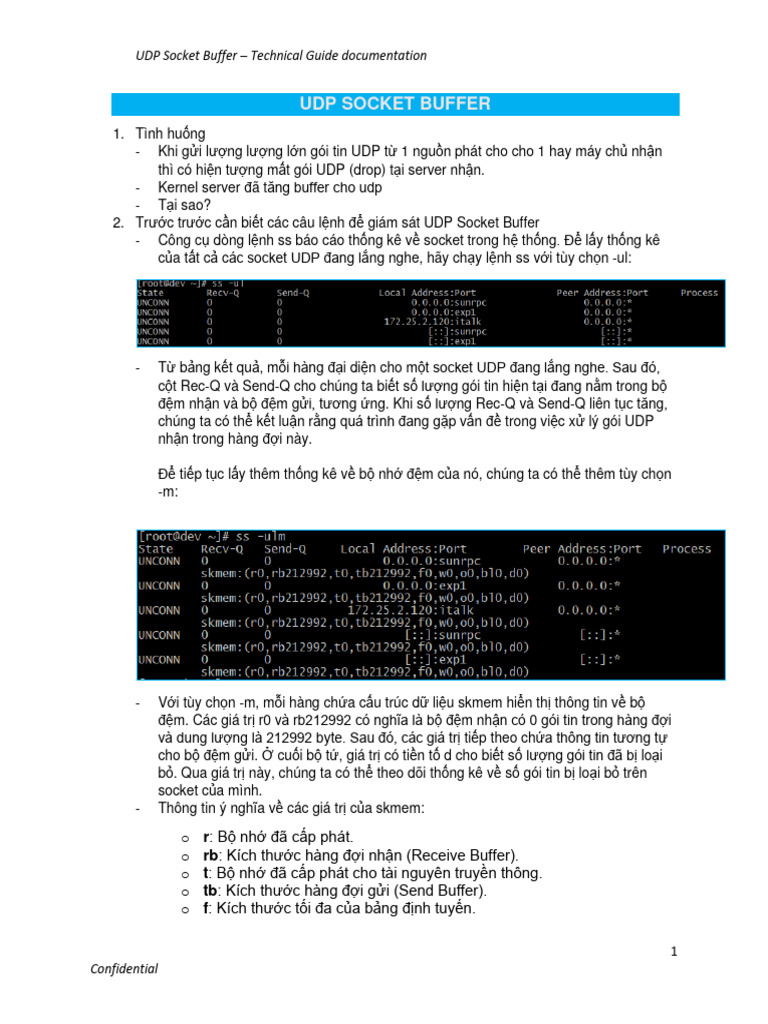 Udp Socket Buffer | PDF