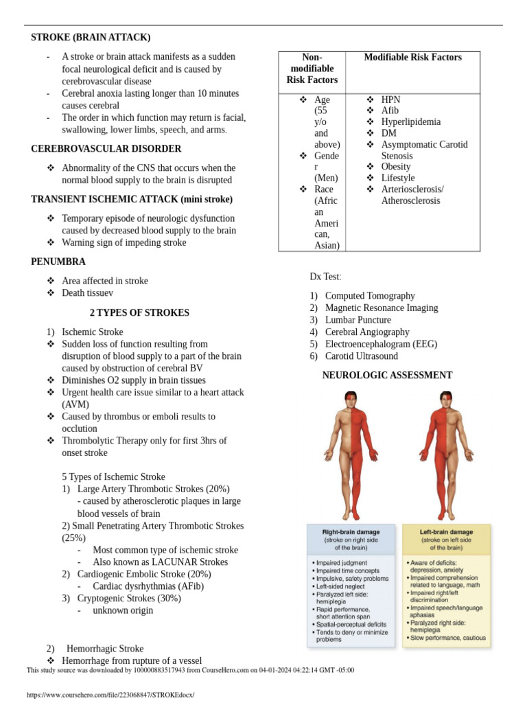 STROKE | PDF | Stroke | Angiology