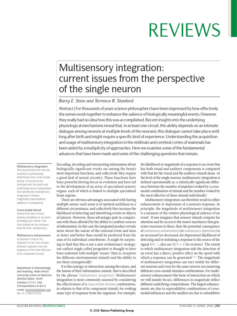 Multisensory Integration in the Brain | PDF | Senses | Perception