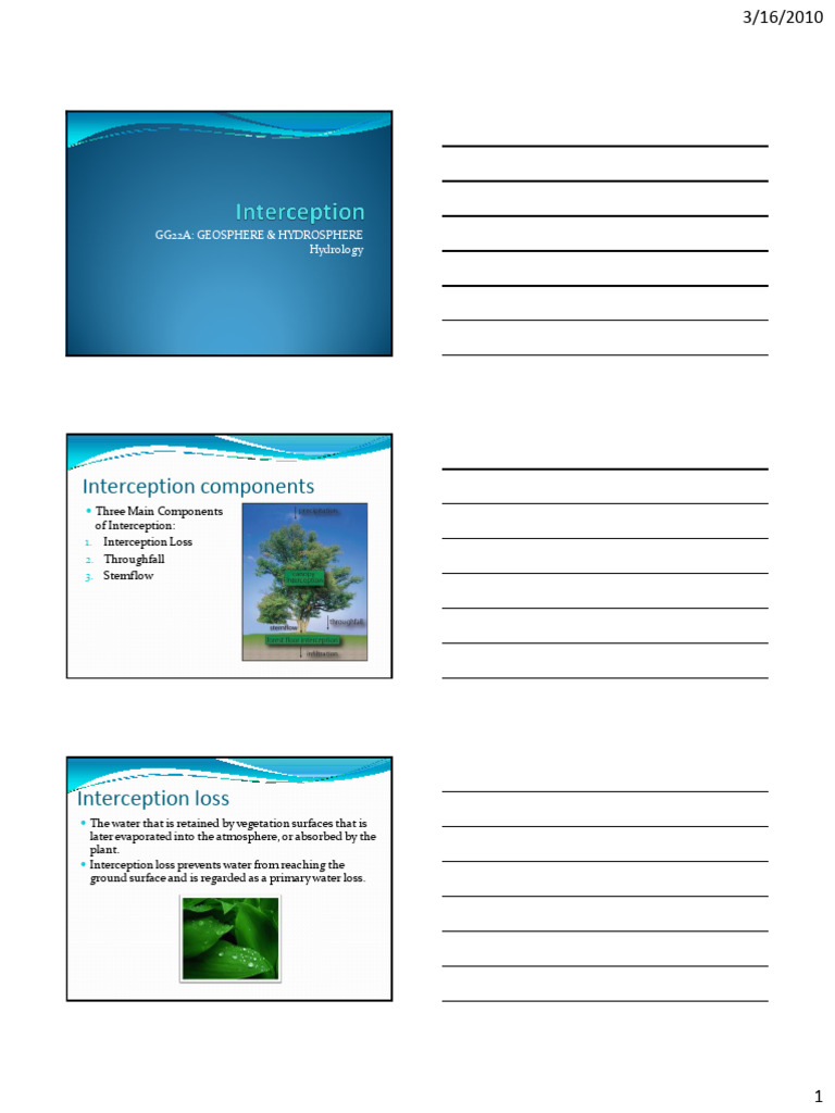 Interception | PDF | Forests | Fog