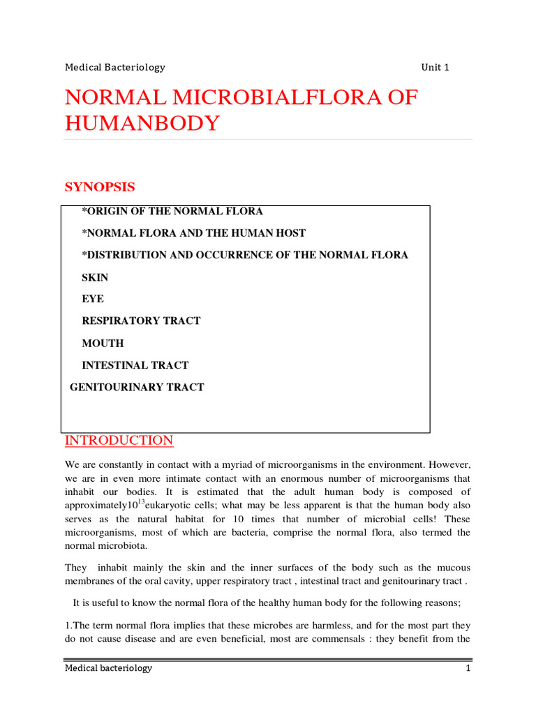Normal Flora of Human Body | PDF | Bacteria | Infection