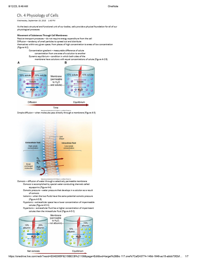 Ch. 4 Physiology of Cells | PDF | Cellular Respiration | Osmosis