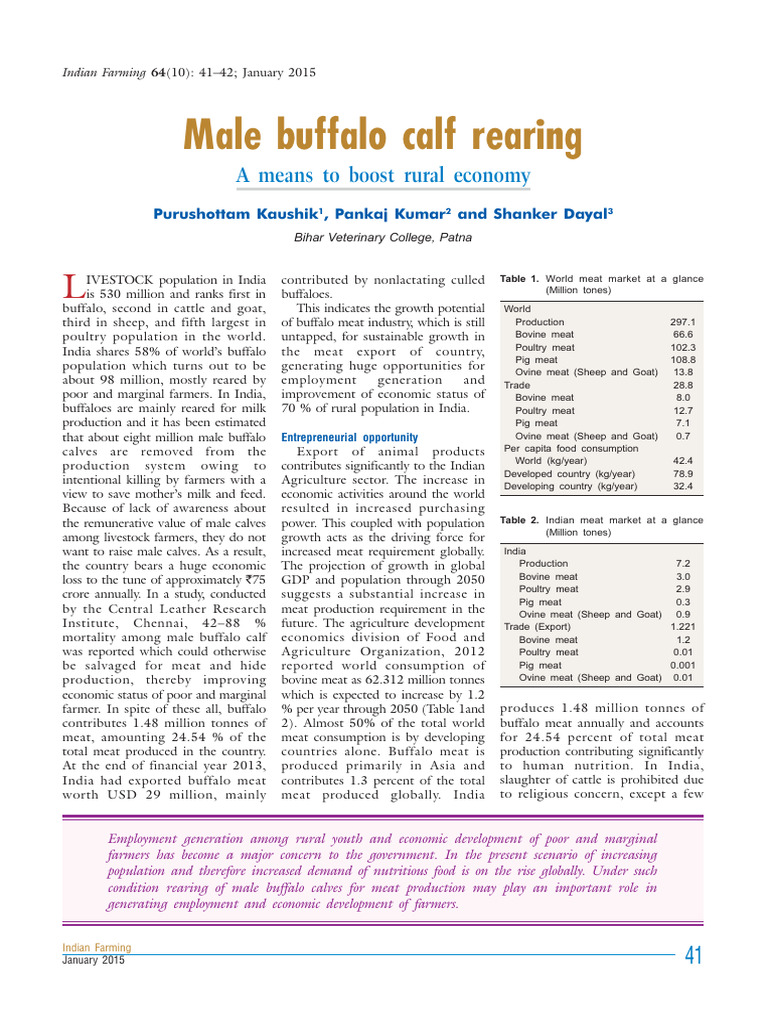 Ojsadmin, 14 Male Buffalo Calf | PDF | Meat | Beef