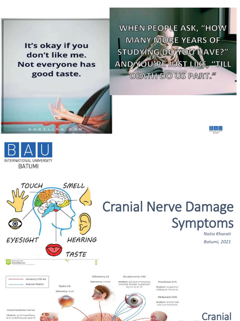 Cranial Nerve Damage II | PDF | Olfactory System | Taste