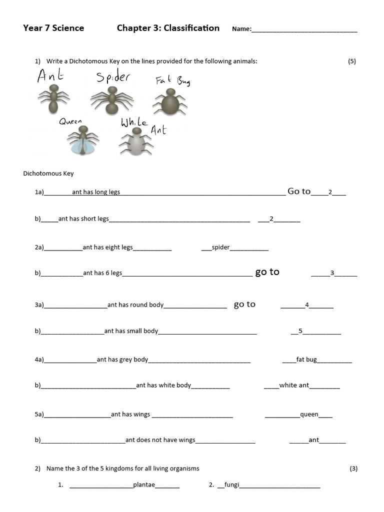 Chapter 3 CLASSIFICATION Test | PDF | Invertebrate | Mammals