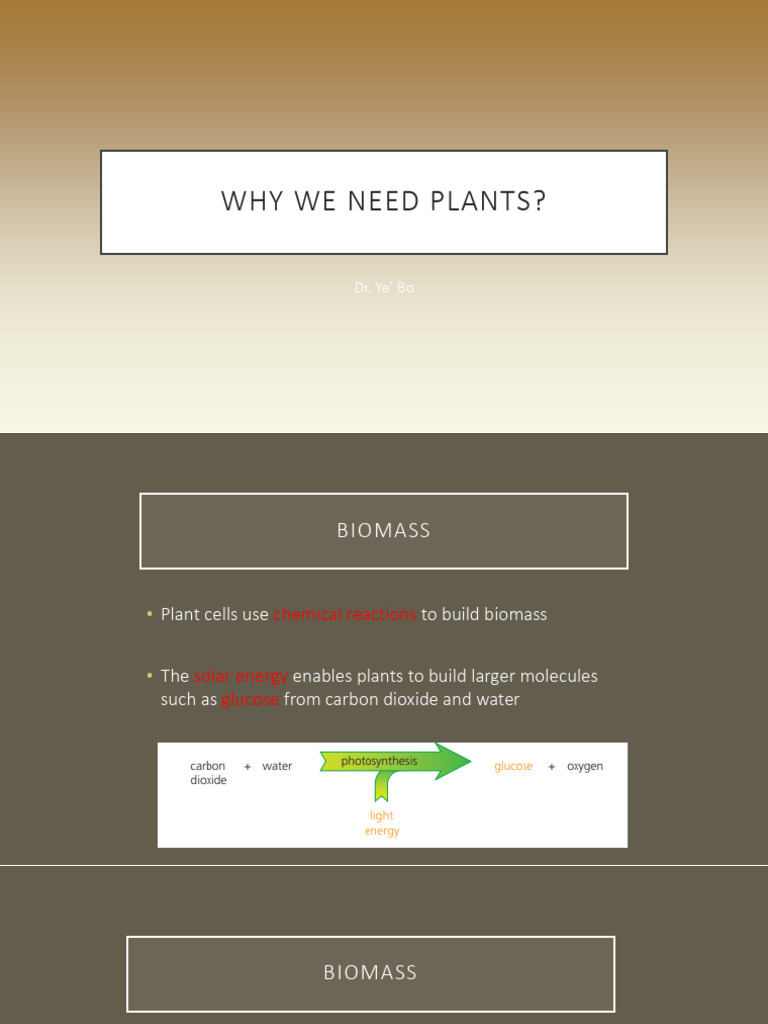 Why We Need Plants | PDF