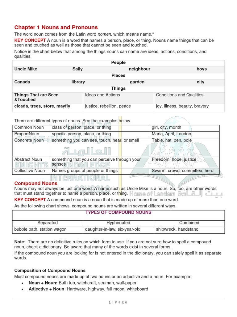 Nouns and Pronouns Explained | PDF | Pronoun | Grammatical Number