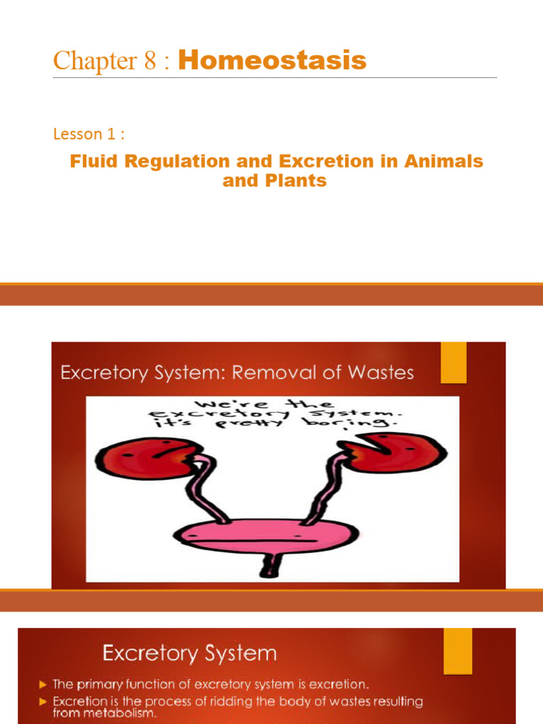 Chapter 9 Homeostasis | PDF