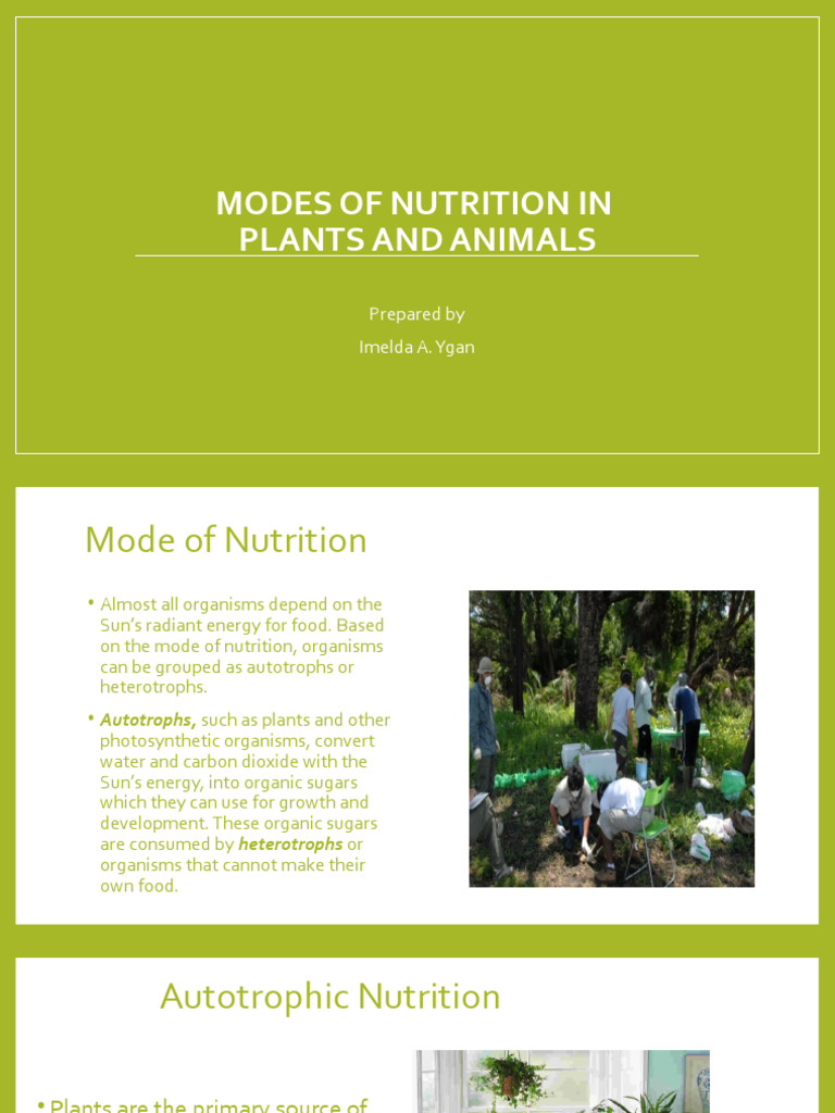 Chapter 8 Nutrition and Food Processing in Animals and Plants ...